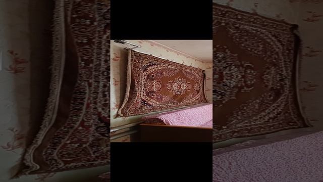 11519059 Дом в с.Веселое Красногвардейского р-на Белгородской обл (89102267717 Ирина Борисовна)
