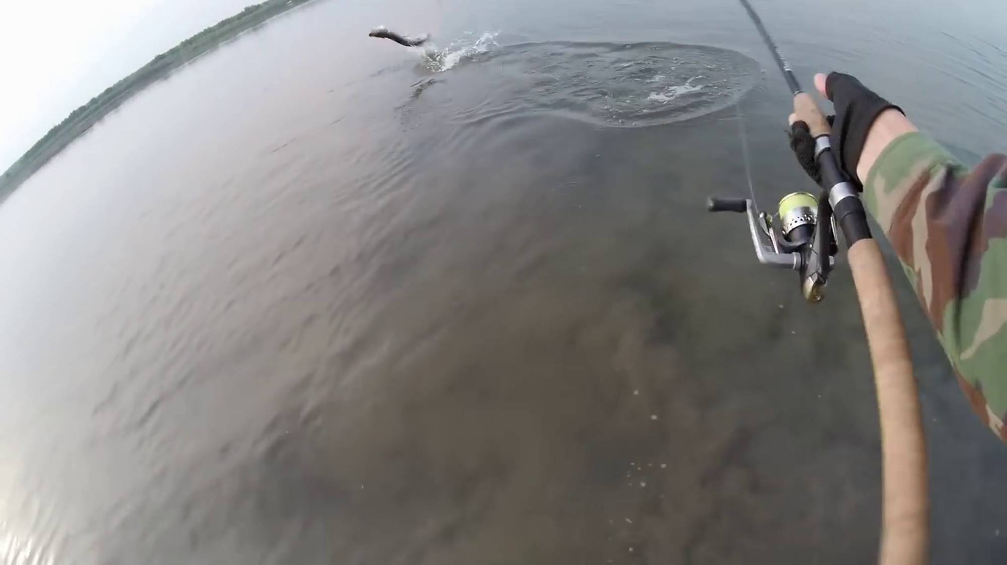 ЩУКИ МЕЖ ПЛЯЖНЫХ РУСАЛОК!