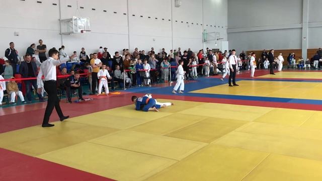 Открытое первенство Сосновоборска по дзюдо на призы мастера спорта СССР Подшивалова В.И.