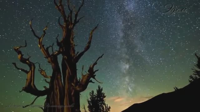 Imangadjiev - Eden (relaxing, relax, slackness)