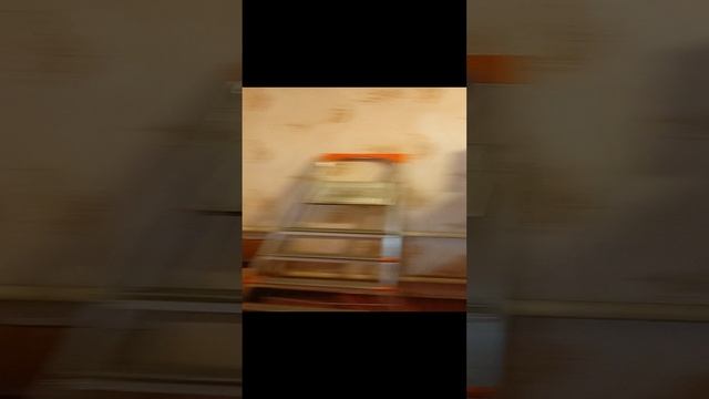 11455042 Дом в с.Ливенка Красногвардейского р-на Белгородской обл (89102267717 Ирина Борисовна)