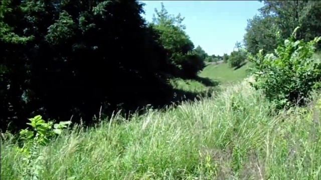 Железнодорожные заброшки в Вязьме и окрестностях.