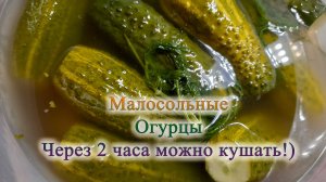 Малосольные огурцы - Через 2 часа уже можно кушать