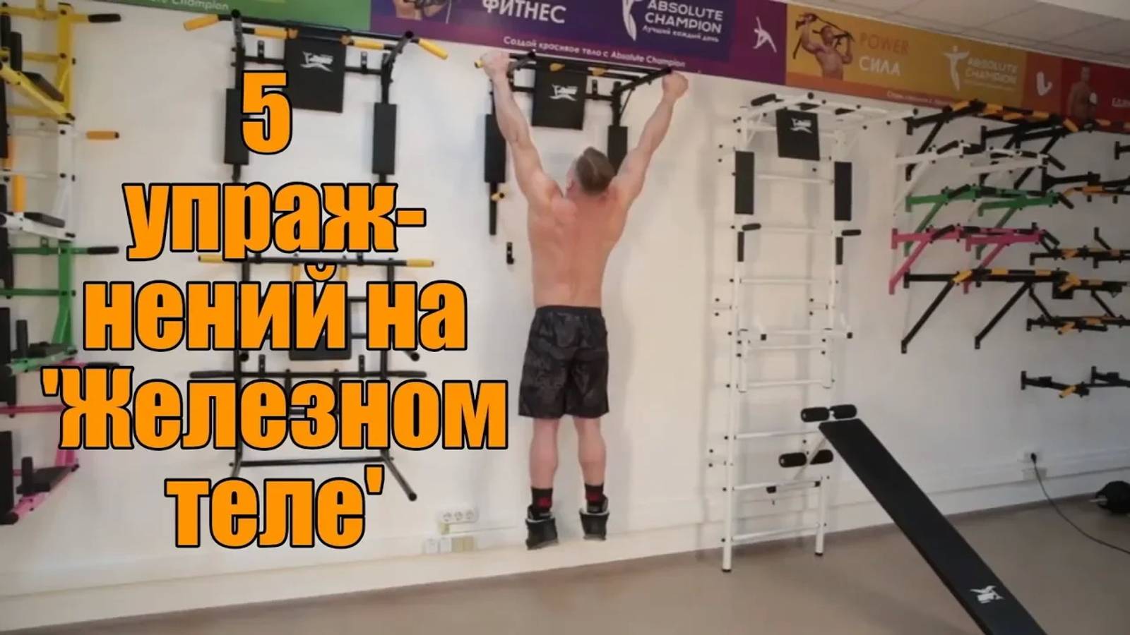 Упражнения на турнике брусьях 'Профи' Железное тело