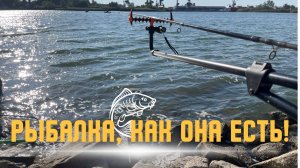 РЫБАЛКА ФИДЕРОМ НА ДОНУ. НЕ ПОНЯТНОЕ ПОВЕДЕНИЕ РЫБЫ В РАЗГАРЕ ОСЕНИ.
