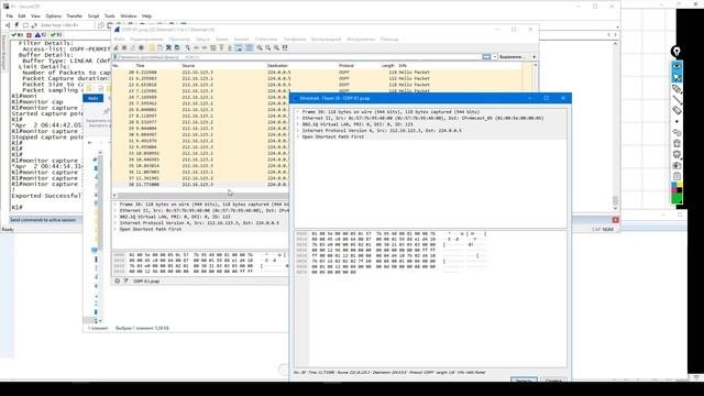 1.2 OSPF. Установление соседства. INIT