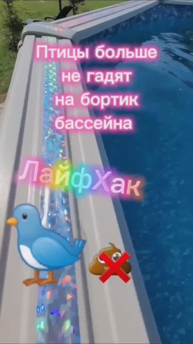 Лайфхакотпугиваем птиц  от бассейна