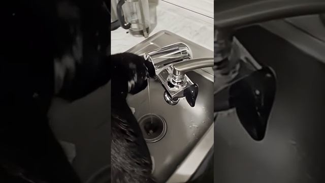 Ну и как пить из этого фонтана