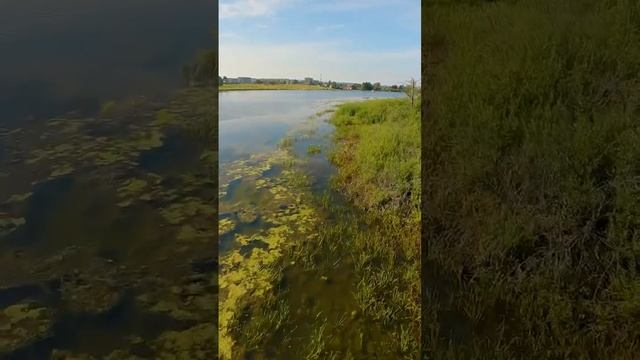 FPV // АТИГ