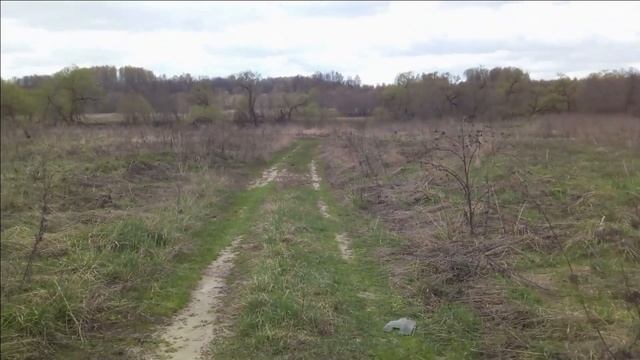 Вешки Угранский район Окрестности  Усадьба Шаховских