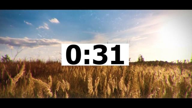 HISTORY (Гаджиева)