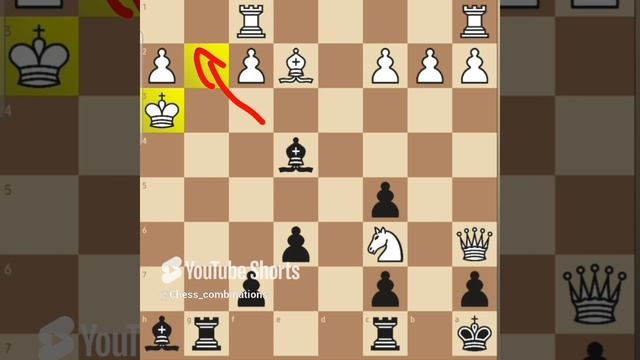 👉Контратака (жертва☝Ферзя привела к мату👌)