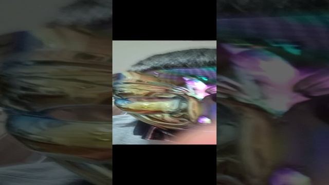 потерянная запись номер один