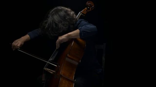 Ян Максин. Я вернусь к тебе птицей (ст. Д. Коденко)