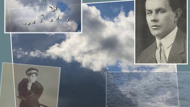Виктор Дзансолов - "ПРОЛЕТЕЛИ ЛЕБЕДИ НАД ДОНОМ"