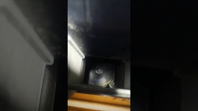 22222  VID 20210830 1704441