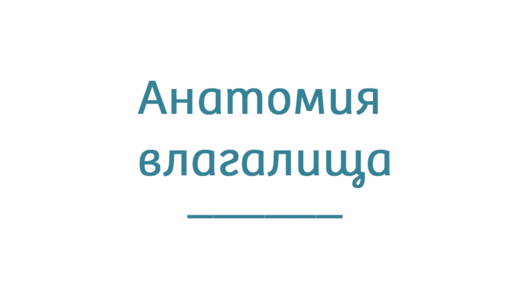 Анатомия влагалища