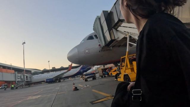 Перелет Ставрополь-Санкт-Петербург 03.09.2024