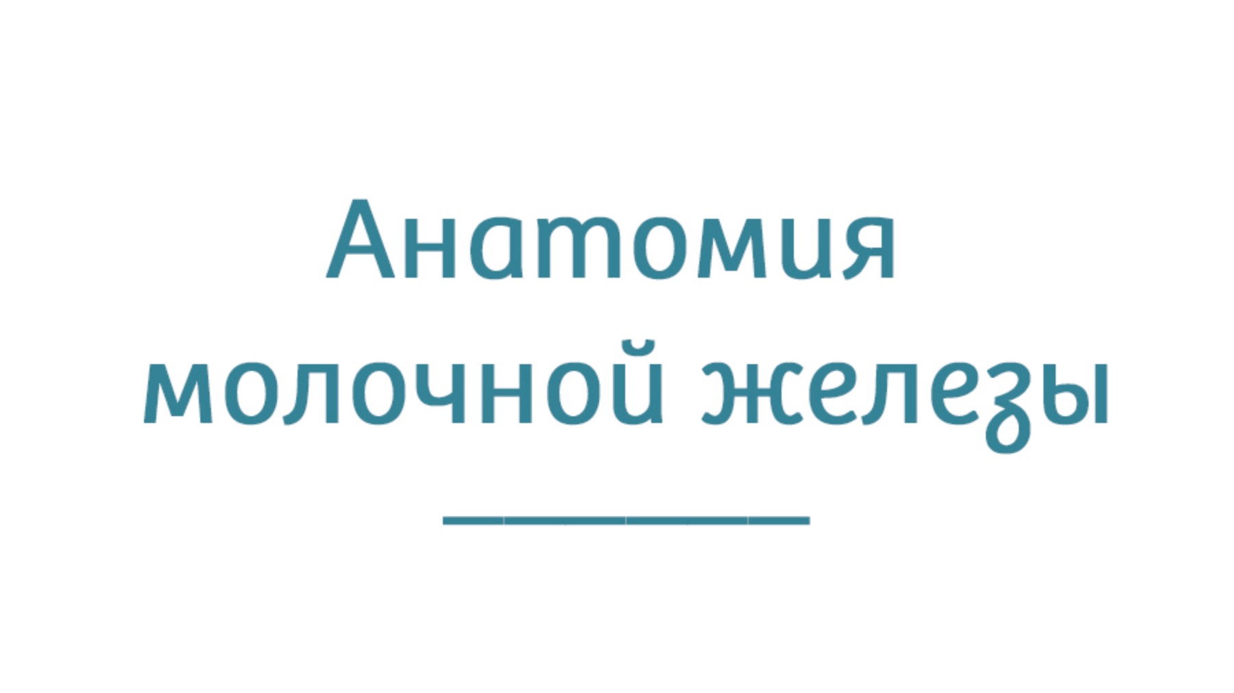 Анатомия молочной железы