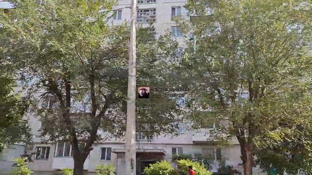 Северодонецк! Донецка, Вилесова, Курчатова осенью 2024!