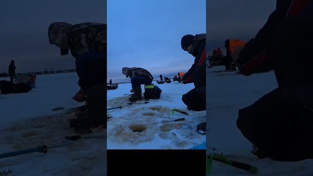 морские монстры #fishing #рыбалка #рыбалка