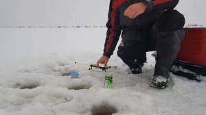 Лучшая РЫБАЛКА . Раздача крупой рыбы