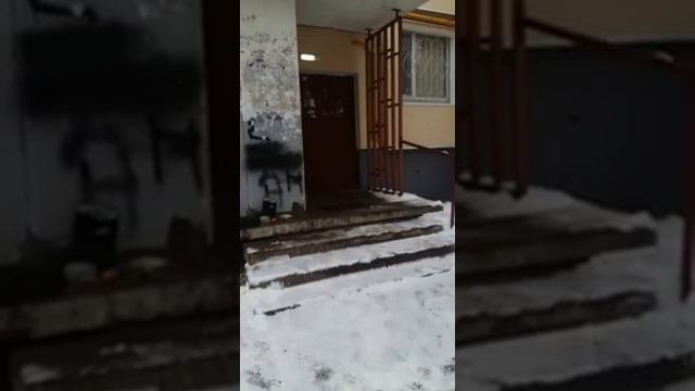Крысы в Лыткарино: квартал 2, дом 10, 2 подъезд