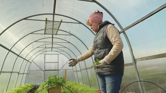 Про весну в деревне. Семейное кино
