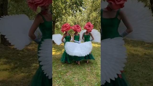 Розы