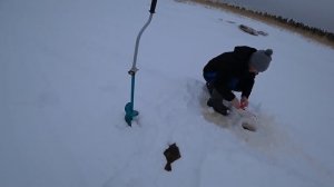 Как ловят рыбу зимой на море! ДОНКИ НА МОРСКУЮ РЫБУ. FISHING ON THE SEA