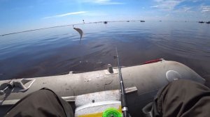 Летняя рыбалка на МОРЕ