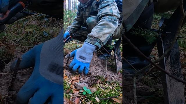 НАЙТИ ЕЁ - ЭТО ГЛАВНОЕ В НАШЕМ ХОББИ!