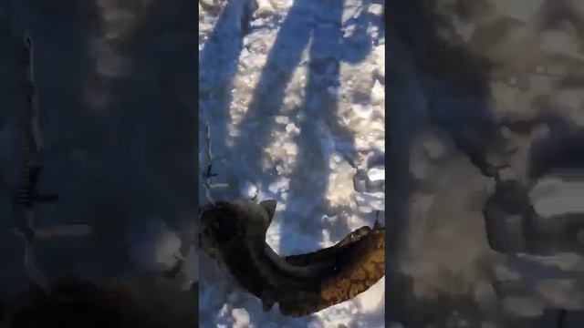 Ice fishing and a great catch