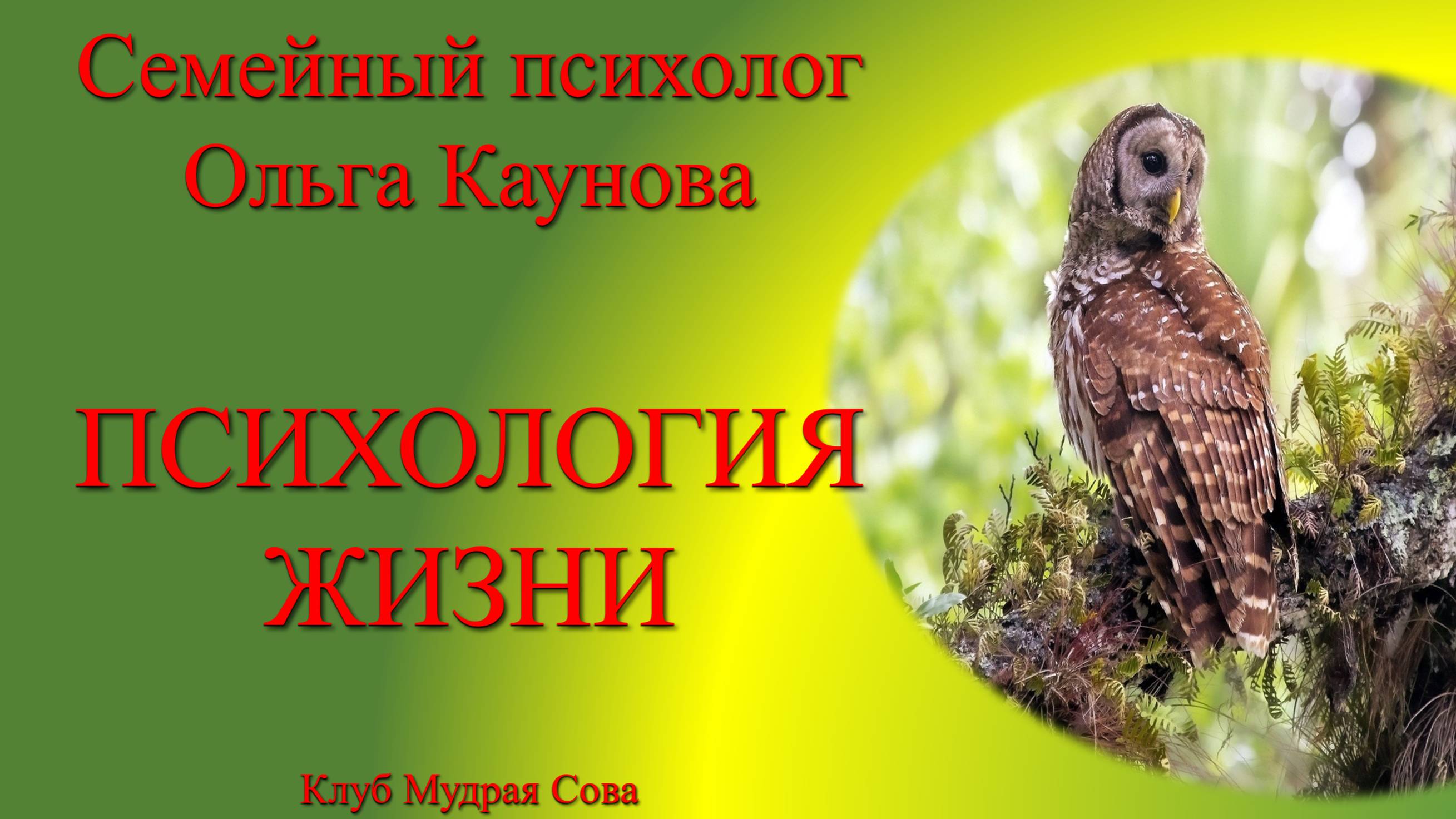 ТОП 3 страха матерей. О. Каунова. 03.08.2024