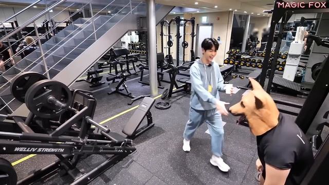 하이브 범죄자