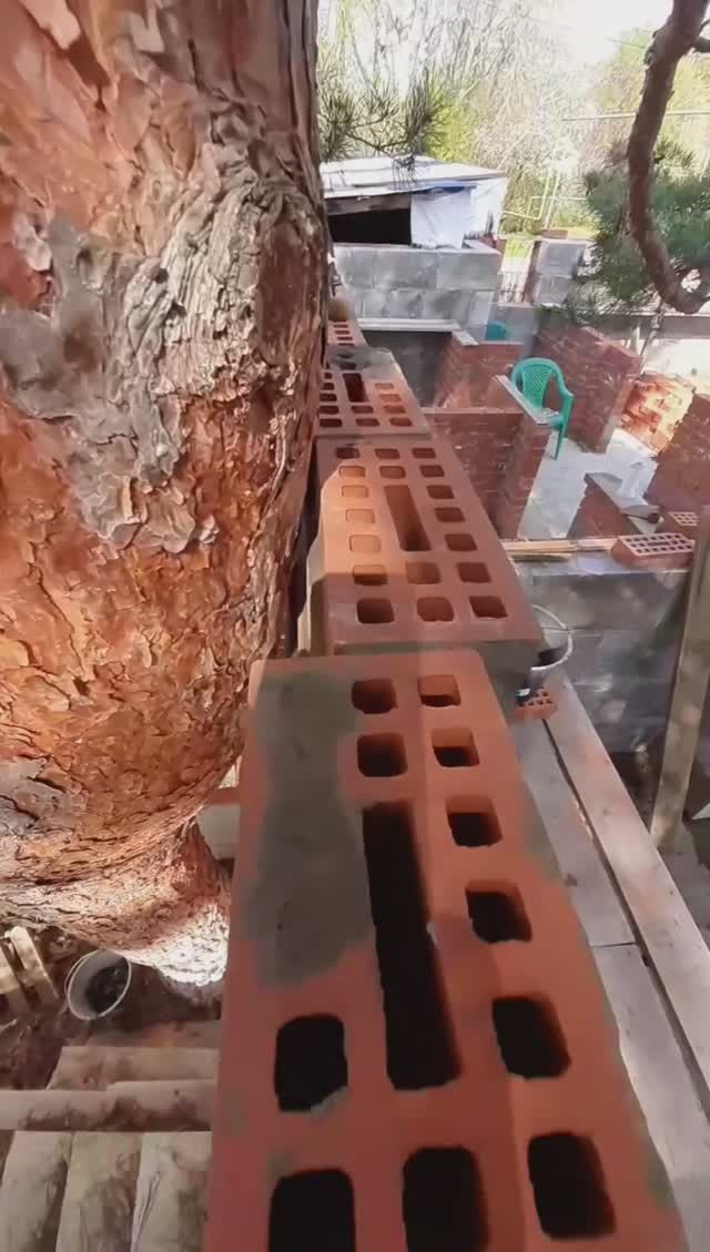 А вот и оно -Дерево. Часть2.
