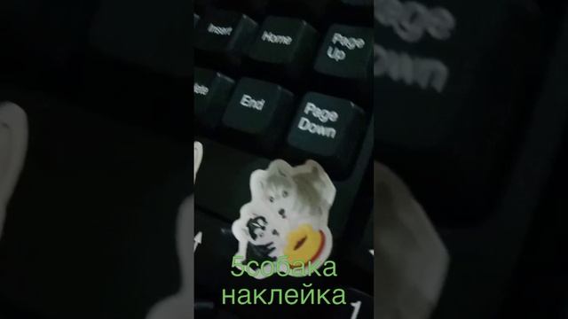 5 собака наклейка на клавиатуру