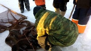 Рыбалка в Якутии на Налима