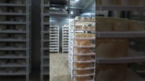 Поставка и монтаж холодильного оборудования для камер созревания сыра на остров Валаам. Часть 3