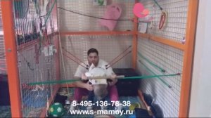 Рабочие моменты в ЦРиАФ Вместе с мамой. Реабилитация детей с ДЦП. Успех.