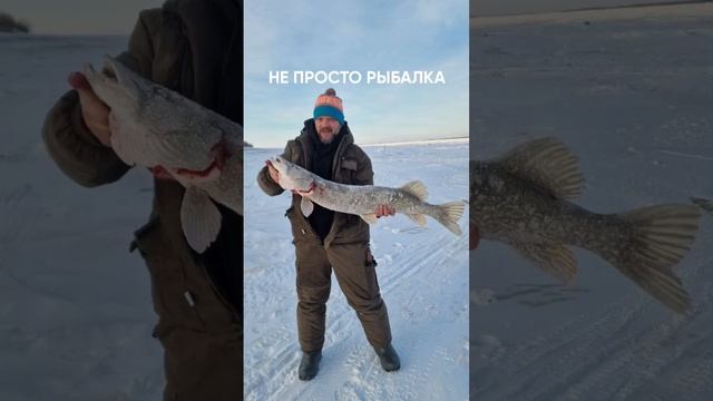 Антистресс для рыбака