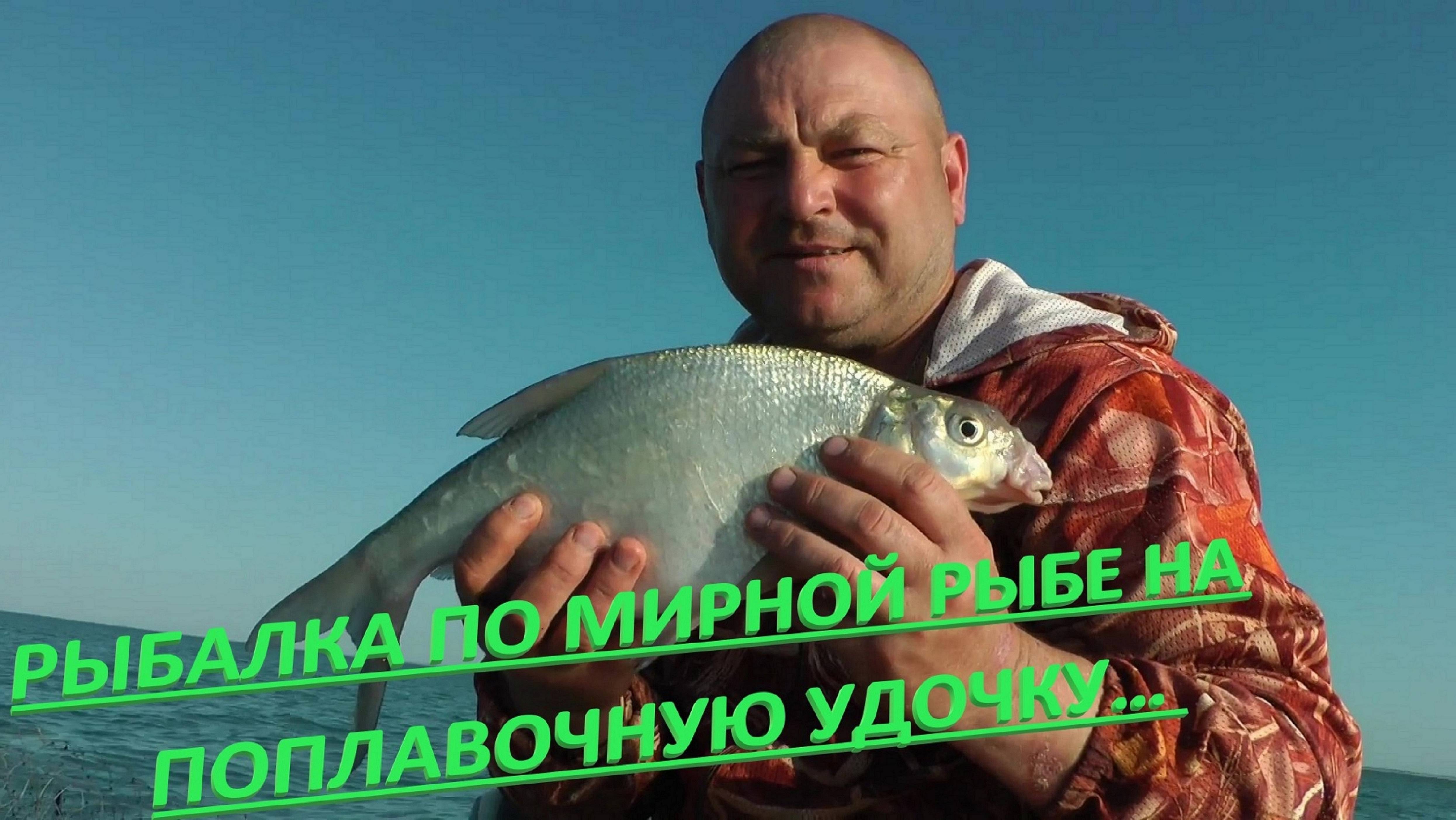 РЫБАЛКА НА ПОПЛАВОЧНУЮ УДОЧКУ…