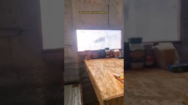 К нам приехал гость из Читы