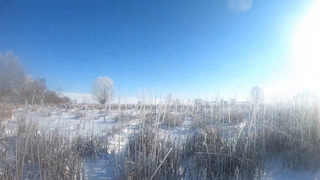 Поиск в Волгоградской области. хутор Чухонастовка