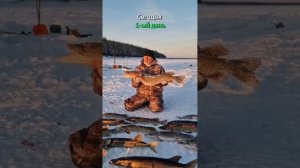 Отзыв гостя из Москвы о 5-дневной рыбалке