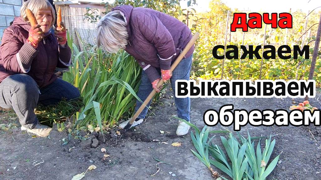 Дача.Все еще Сажаем Обрезаем и Капаем.Вот и сезон окончен.Будем скоро отдыхать