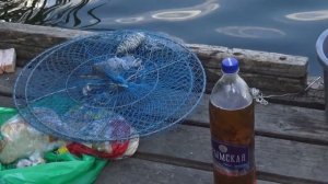 РЫБАЛКА НА СУЛИНСКОМ ВОДОХРАНИЛИЩЕ!!ЗАБЫЛ ПОДСАК!!МНОГО СХОДОВ!!КАЙФ ПОЛУЧЕН!!
