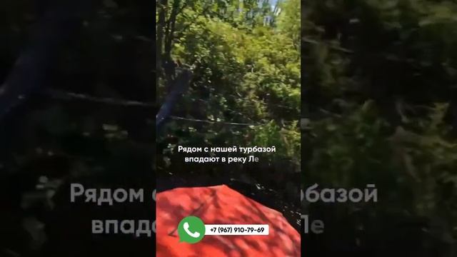 Лето не за горами! ️ ☀️  #рыба #рыбалка #fishing #щука