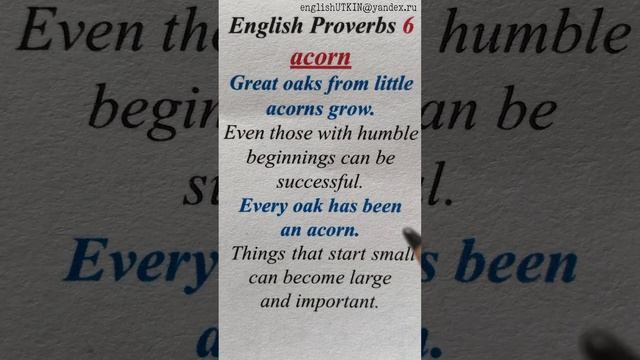 учим английские пословицы 3 #english #englishgrammar #spokenenglish #englishspeaking
