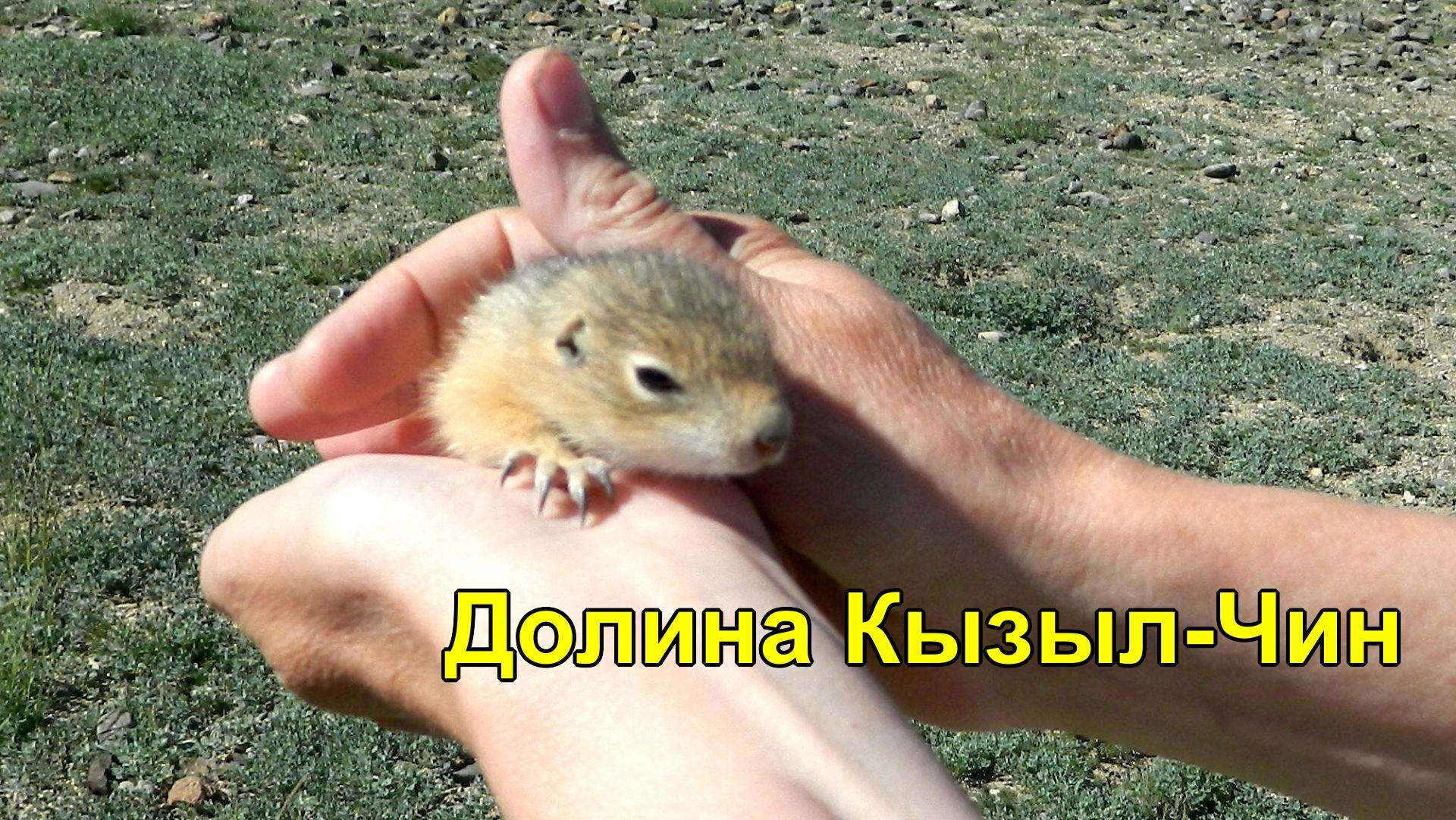 Долина Кызыл Чин